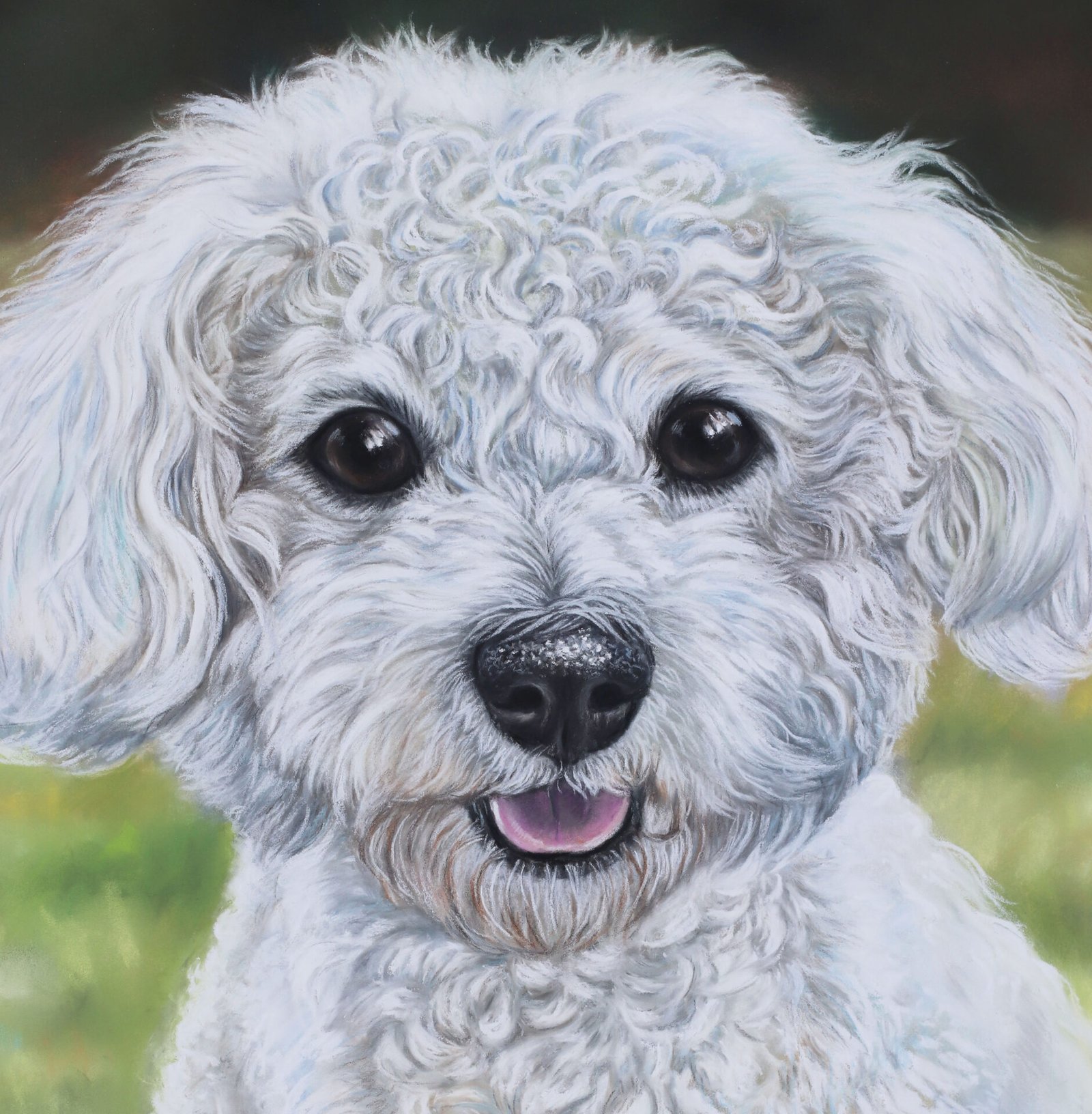 Bobby - Pet Artist UK