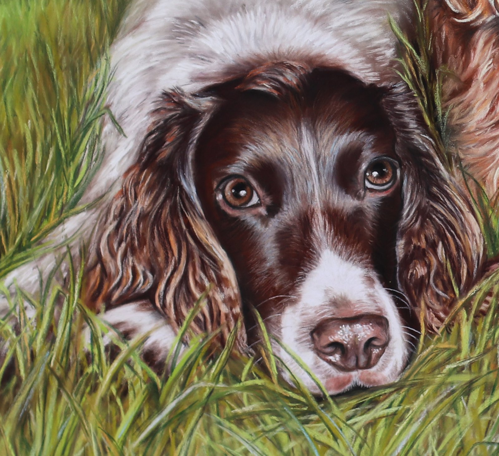 Cocker Spaniel Artwork. 3 Dog's Generations In One Painting.